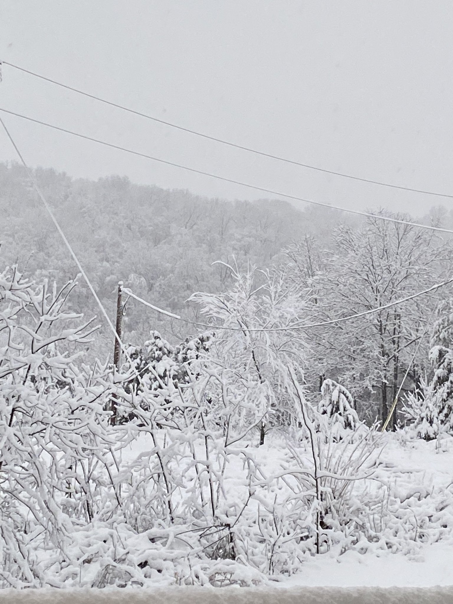 Summary of the January 24-25, 2023 snow event